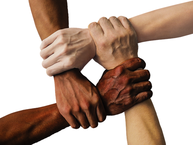 techtribe - Your partner in building innovative software solutions.